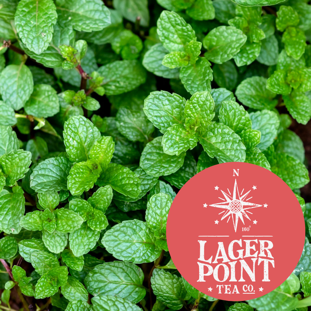 Peppermint – Lager Point Tea Co.